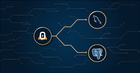 如何将 Supertokens 连接到 Mysql 或 Postgresql 数据库 搞英语 → 看世界