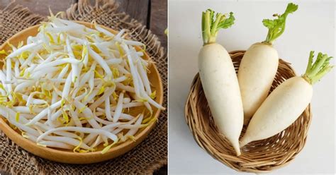 추운 날 더욱 신경써야 하는 혈관 건강을 개선시켜 줄 채소 속 5가지 영양소