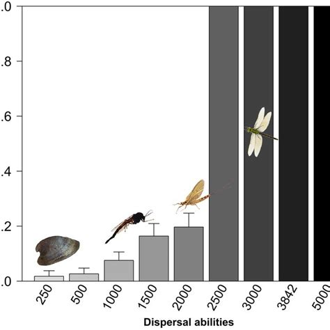 Conceptual Representation Of The Simulation Model Dispersal Networks Download Scientific