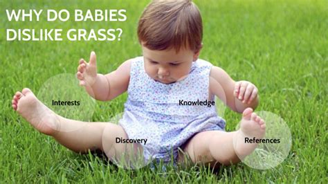 Why Do Babies Dislike Grass By Kim Clarke On Prezi