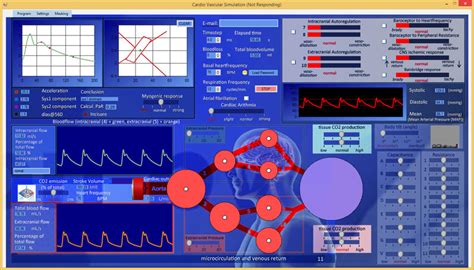 Cardiovascular Simulation