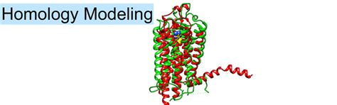Molecular Modeling Virtual Screening Laboratory Dipartimento di Farmacia Università di Pisa