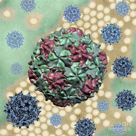 Polio Virus Photograph By Science Photo Library Fine Art America