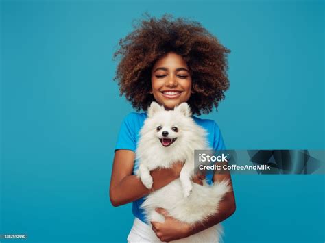 어린 개를 들고 미소 짓는 젊은 아프리카 계 미국인 소녀의 스튜디오 초상화 개에 대한 스톡 사진 및 기타 이미지 개 사람들 스튜디오 촬영 Istock
