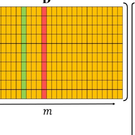The sparse representation model The model can be expressed as í µí í Download Scientific