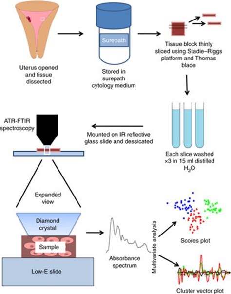 Diagrammatic Representation Of Methodology Download Scientific Diagram