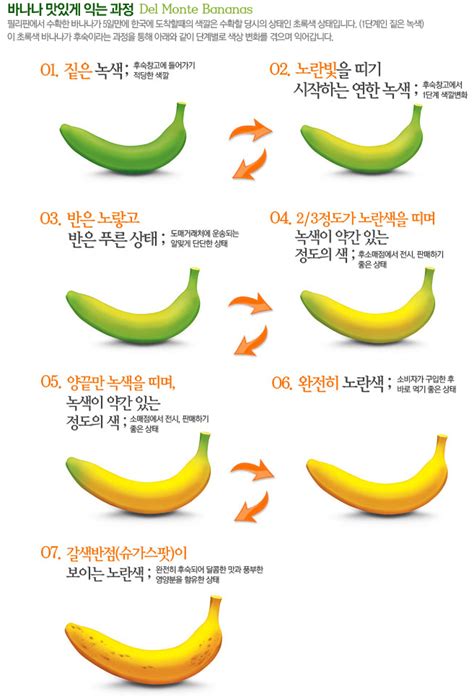 저칼로리 다이어트 레시피 이벤트 참여 바나나 영양성분 바나나 보관방법 슈가스팟 네이버 블로그