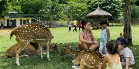 천국에 빠지다 최고의 모리셔스 여행 가이드