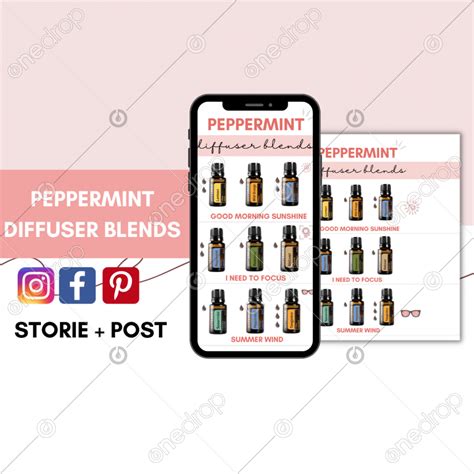 Peppermint Diffuser Blends By Valentina Ramirez