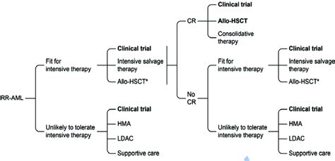 Treatment Algorithm For Patients With Rr Aml 424 There Is No