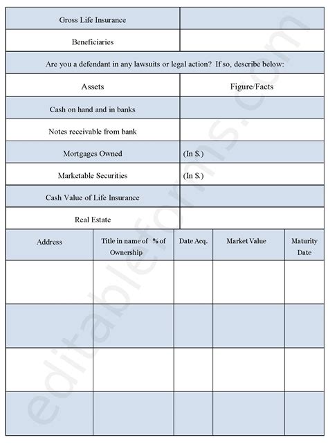 Asset Statement Fillable Pdf Form Editable Pdf Forms
