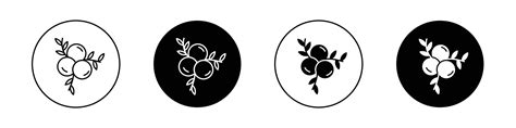 Juniper Icon Set 45684795 Vector Art At Vecteezy