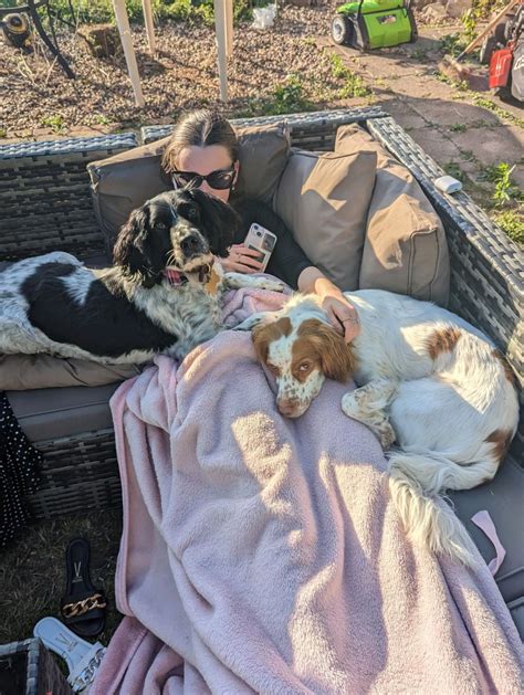 Rohit Parmar Mistry On Linkedin School Boarding