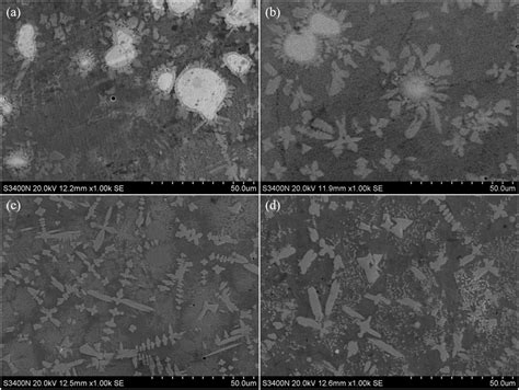 Cross Sectional Morphology Of The Middle Of A Ni60a 20 Wc 03