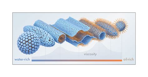 Description Of Micellar Radii For Phase Behavior And Viscosity Modeling Of Aqueous Surfactant