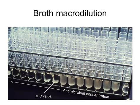 Broth Microdilution Reference Methodology Pdf