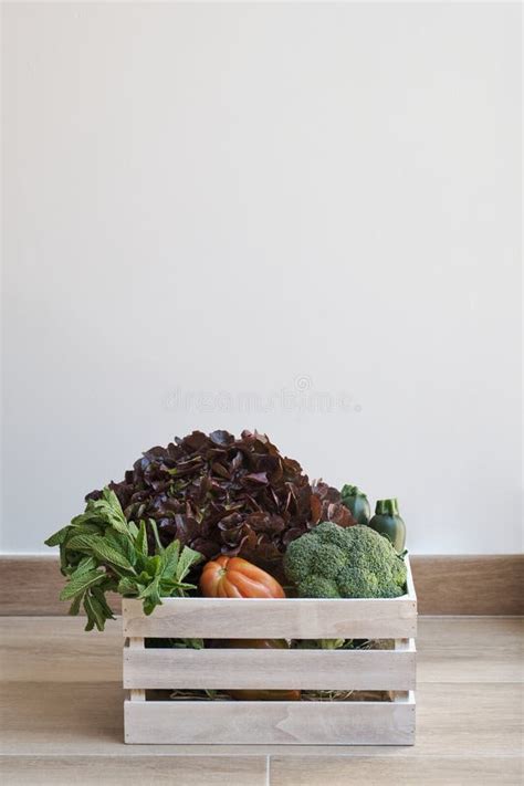 Fresh Vegetables Box Picked In The Garden Stock Image Image Of