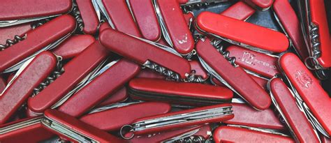 The Pros And Cons Of Ranorex Testing Tool