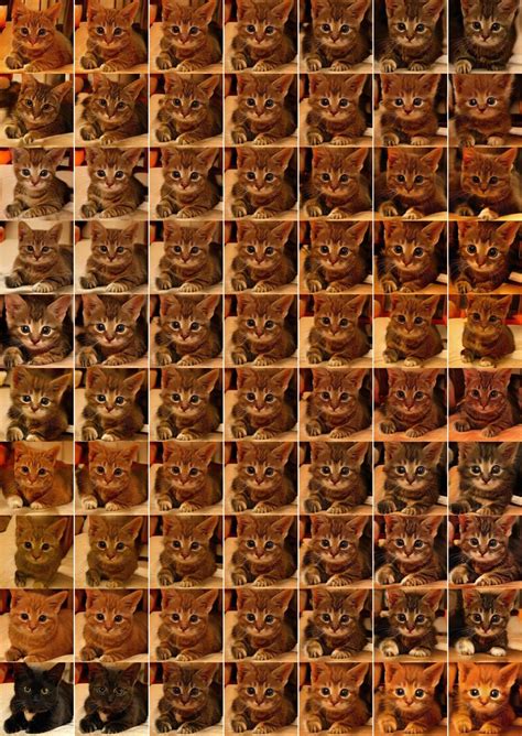 Linear Latent Traversal Along The First 10 Components Of Local Basis Download Scientific