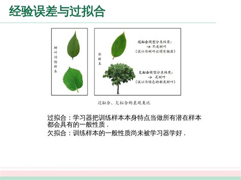 模型评估与选择