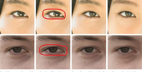figure 3 from a semantic segment encoder sse improving human face