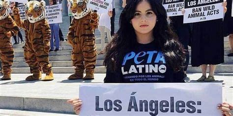 Qué es PETA Latino y cómo ayuda a los animales PETA Latino
