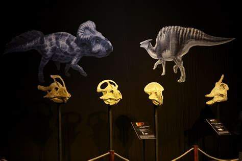 ҮЛЭГ ГҮРВЭЛИЙН 16 ОЛДВОРУУДЫГ ЭХ ОРОНДОО БУЦААН АВЧ ИРЛЭЭ ТАС МН