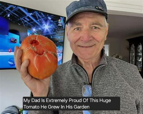 24 Funny Guy Memes Celebrating Dude Life