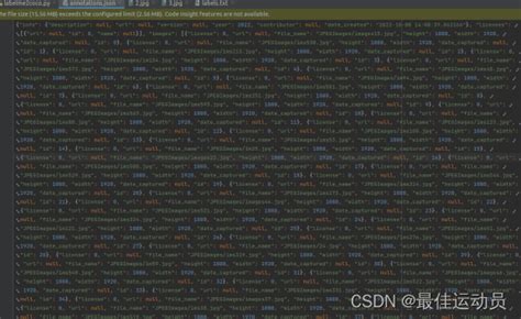 【深度学习】yolov5实例分割 数据集制作、模型训练以及tensorrt部署实例分割数据集 Csdn博客