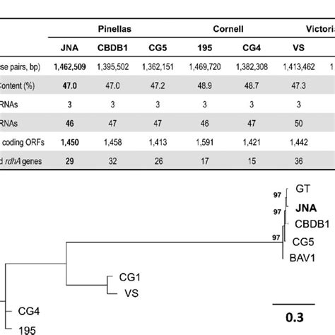 Comparative Genomics Characterization Of Strain Jna A Genomic Download Scientific Diagram