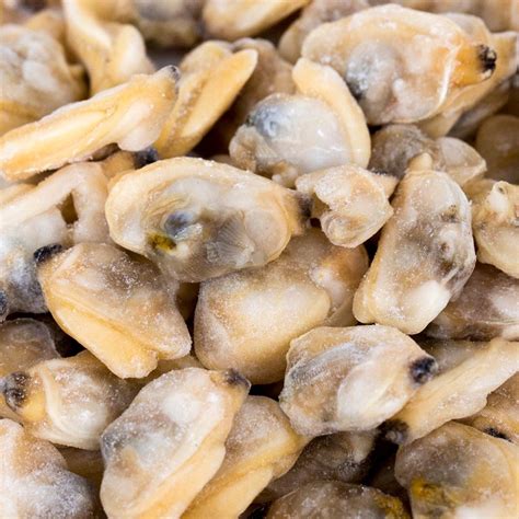 Clam Meat Mackay Fish Market