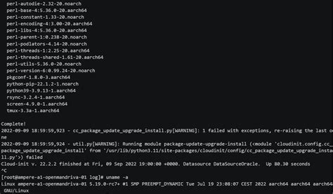 Introducing Openmandriva On Oci Ampere A1 With Terraform