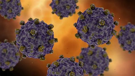 Microscopic Visualization Of Coxsackievirus 20831234 Stock Video At Vecteezy