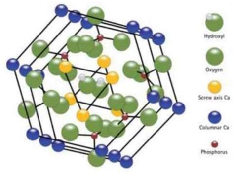 Process Optimization In Viticulture Using Functionalized Biomimetic