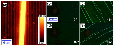 Directional Alignment Of Polyfluorene Copolymers At Patterned Solid Liquid Interfaces