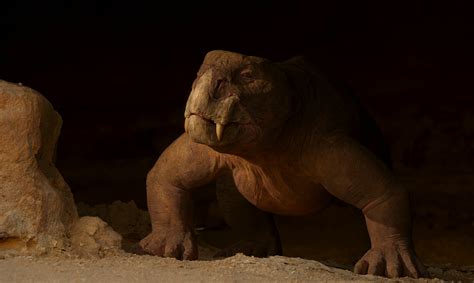 Lystrosaurus Life On Our Planet Wiki Fandom