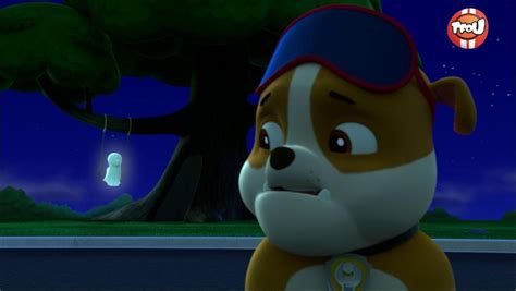 Paw Patrol La Patpatrouille Série Tf1