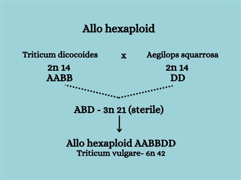 Polyploidy Breeding In Plants Bio Smart Notes