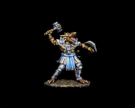Dragonborn Paladin Tomb Guardians