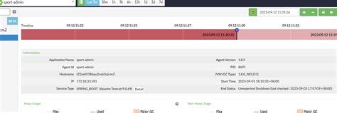 Pinpont 185 Only Jvm Data And There Is No Data · Issue 10322