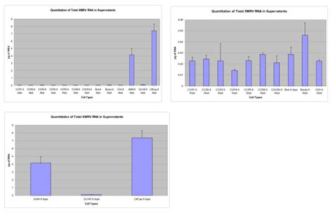 Quantitation Of Xmrv Rna In 6 Day Infected Culture Supernatant Figure