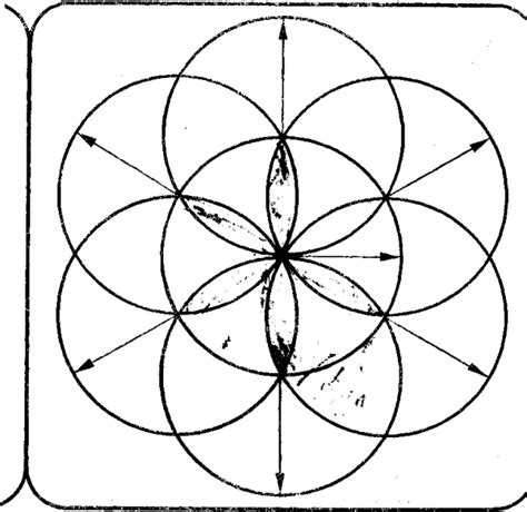 Рисунок цветка циркулем 43 фото