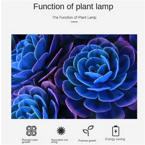 Badu Bg Светодиодна лампа за отглеждане на закрито Допълнителна светлина Лампи за отглеждане на