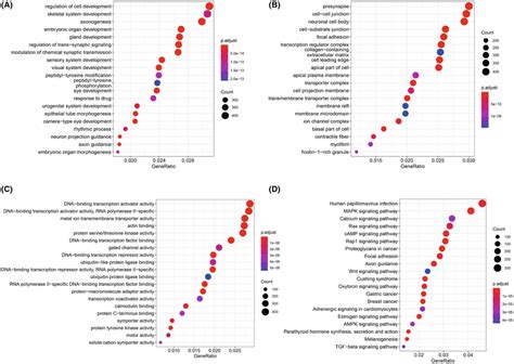 Function Enrichment Analysis Of The 608 Mdgs A The Results Of Bp