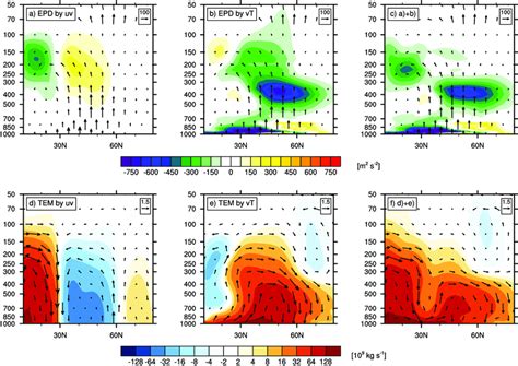 Eddy Heat And Momentum Flux Contributions To The Tem Circulation Djf