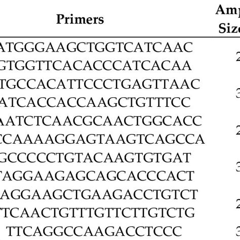 Primer Sequences And Amplicon Sizes Download Scientific Diagram