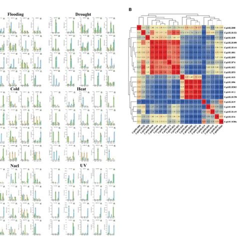 Phylogenetic Tree Gene Structure And Motif Distribution Of 218 Bhlh