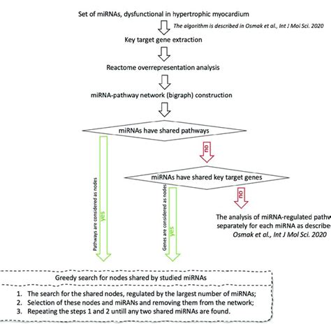 A Schematic Workflow For The Identification Of Mirna Regulated Pathways Download Scientific