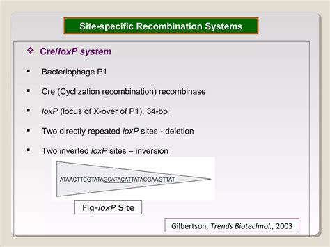 Synthetic Chromosome Platforms In Plants Concepts And Applications Ppt