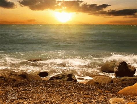 Beach Sunset 